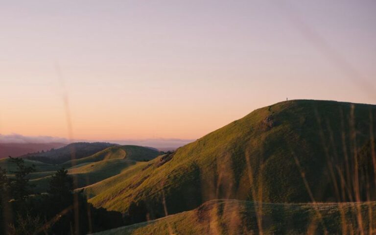 Most Affordable Cities in California: Places That Offer More